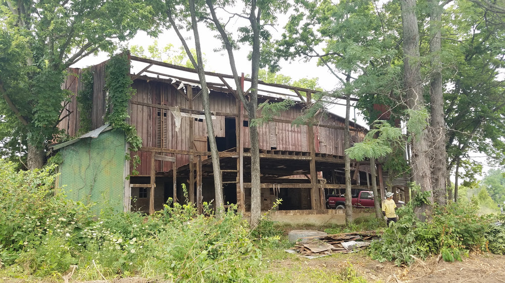 The History of Led Sled – Led Sled Customs